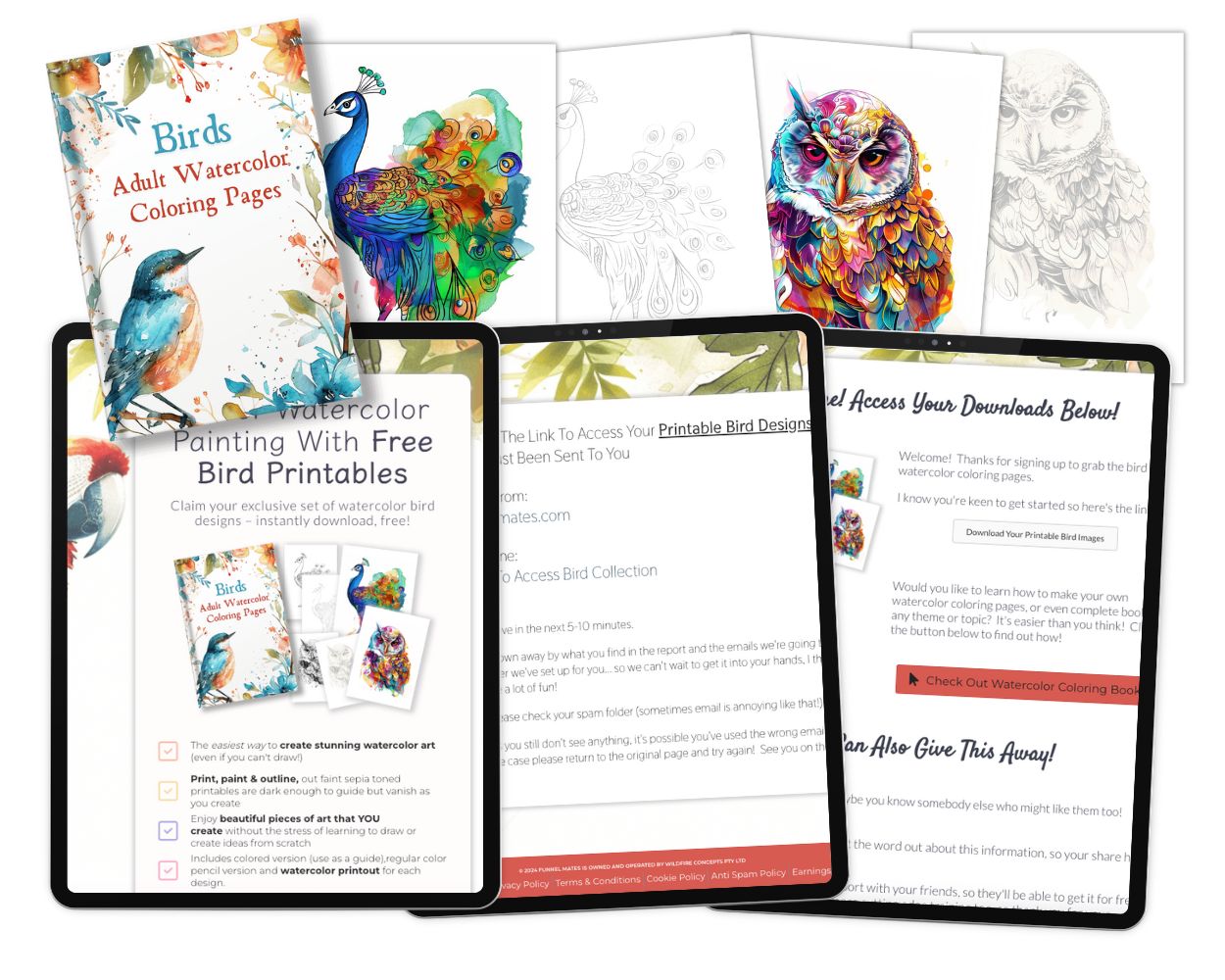 WCB Marketing Toolkit – VIP